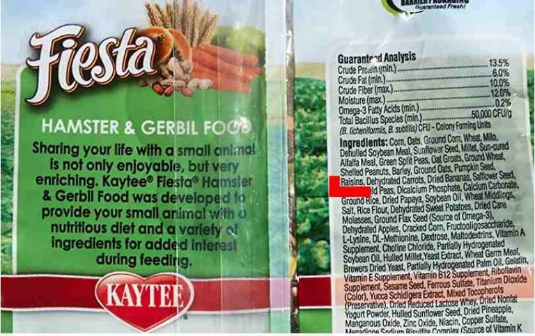 Can gerbils eat grapes and raisins? Are they safe? - Rodents Road